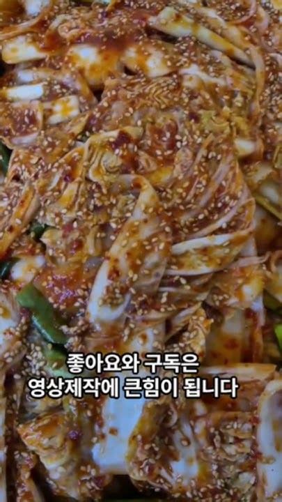 특별한 배추 겉절이 맛이최고👍멸치액젓 황석어젓갈 밥없이 계속 먹어요 일상 집밥 Food Cooking 배추겉절이