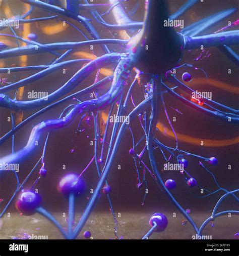 Synaptic Transmission Is The Process By Which One Neuron Communicates