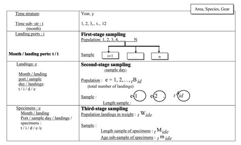 The Statistical Structure Of The Stratified Three Stage Cluster Download Scientific Diagram