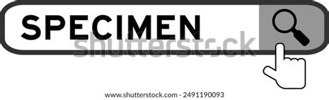 2249 Magnifying Class Icon Stock Vectors And Vector Art Shutterstock