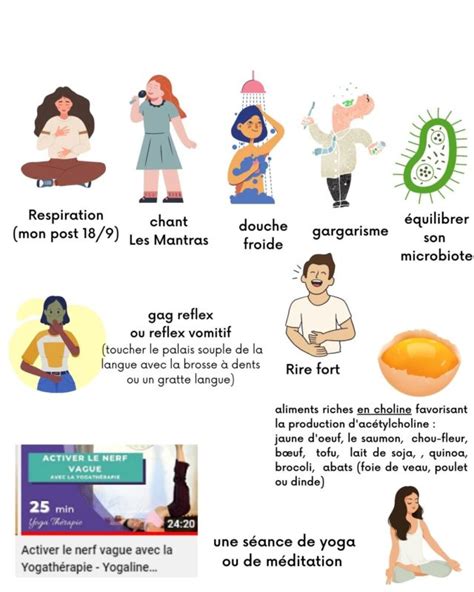 Le Nerf Vague Comment Lactiver En Naturopathie Evy Poulard
