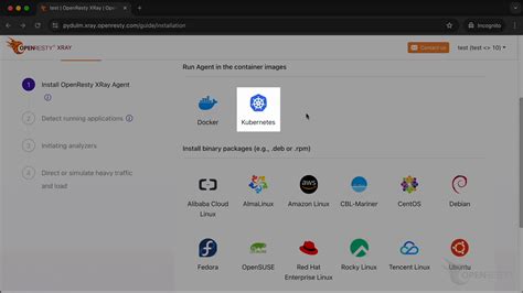 Install Openresty Xrays Agents On Kubernetes Cluster Openresty