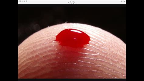 10 حقائق لا تعرفها عن دم الانسان Youtube