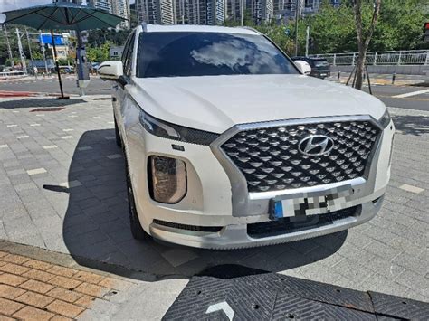 펠리세이드 운앞범퍼 앞휀다 판금도색