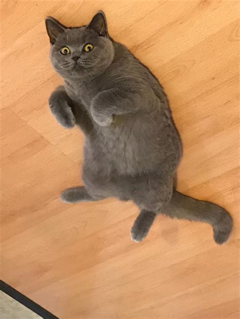 She Can Read Your Thoughts Rcute