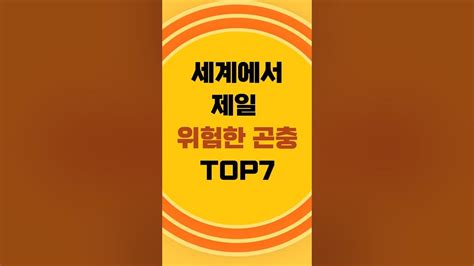 세계에서 제일 위험한 곤충을 알려드립니다 곤충 순위 Youtube