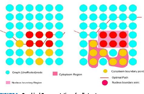 Figure 2 From An Improved Boykovs Graph Cut Based Segmentation