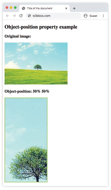 Css Object Position Property