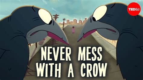 Why Cant You Tame A Crow Legal Cognitive And Ethical Barriers