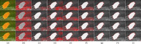 Segmentation And Comparison Of Image With Varying Salt And Pepper Noise Download Scientific