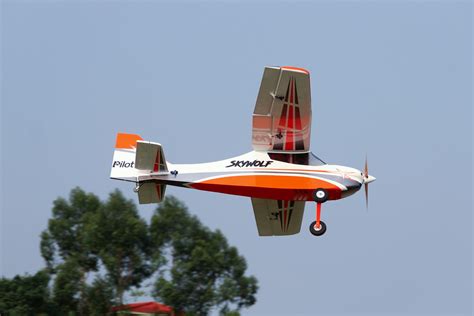 Pilot Rc Skywolf Pilot Rc