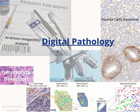 Exploring Digital Pathology A Journey Into The Future Of Diagnostic