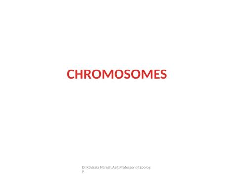 Structure Types And Functions Of Chromosomes Pptx