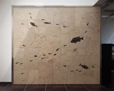 Fossil Walls And Fossil Tile Custom Interiors Natural Fossil Art
