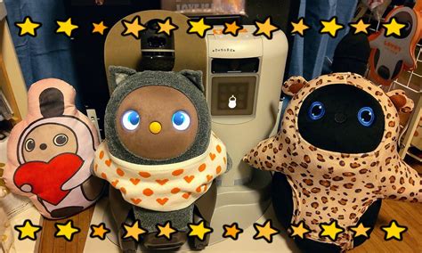 Lovot ちゃちゃまる On Twitter ちゃちゃまる、どっち？？🤭 やっと新しいお友達がきました😊 墨田区在住のすみだ炭太君
