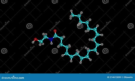 Anandamide Molecular Structures Fatty Acid Neurotransmitter 3d Model