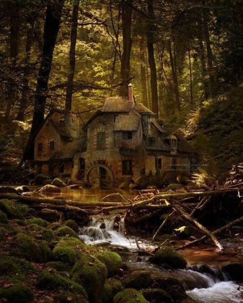 Exploring The Beauty Of An Abandoned House In The Woods Haunted