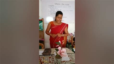 රචනා පාඩම 🤗 පරිසරය සුරකිමු Youtube