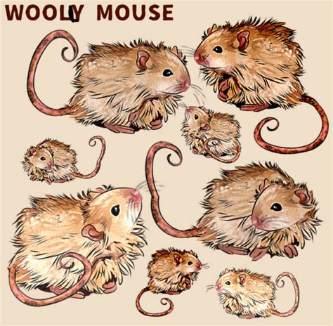Wooly Mouse By Jurass1cwarr1ors On Deviantart