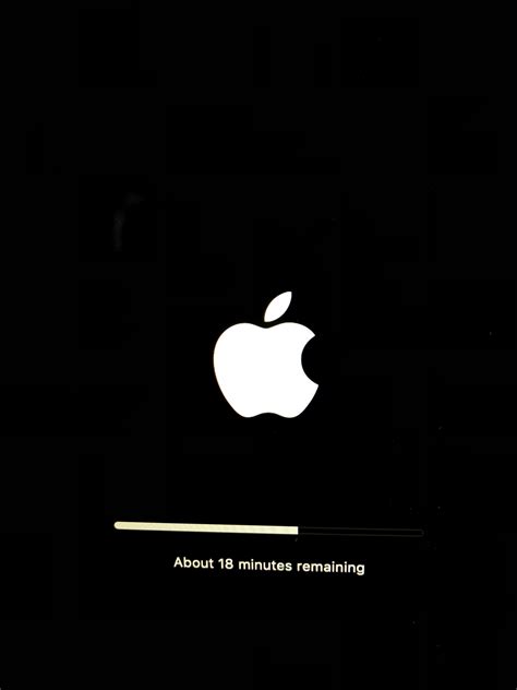MacOS Installation Stuck Need Help R MacOS