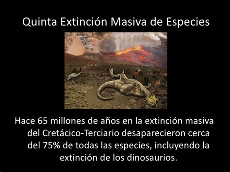 Sexta Extinción Masiva De Especies