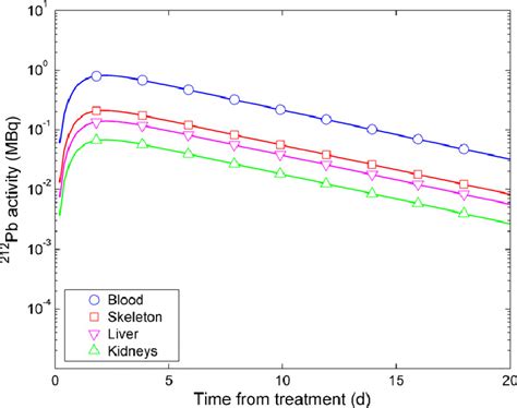 Results Of The Biokinetic Calculation 212 Pb Activity As A Function Of