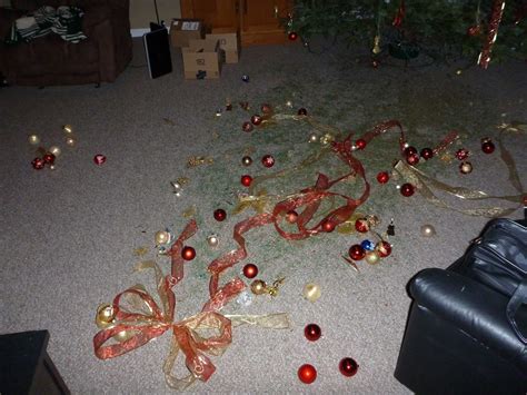 Christmas Trees That Don T Give A Fuck About Tradition