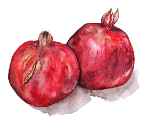 Premium Photo Watercolor Hand Drawn Pomegranate Fruit Set Isolated