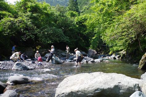 静岡県口仙俣の鉱物採集 2014 静岡県の鉱物産地情報 蛇紋岩とフクサイトとニッケル鉱物