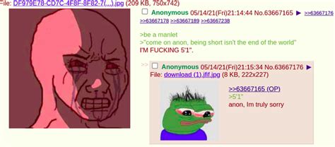 Anon Is A Manlet R Greentext