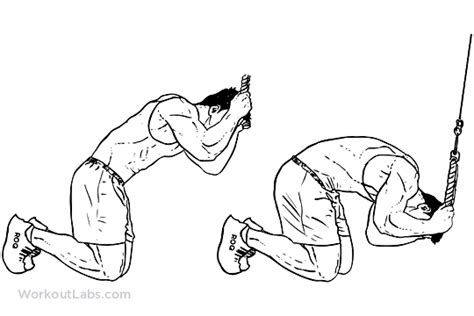 Kneeling Cable Crunches Workoutlabs