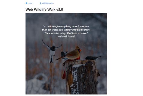 GitHub Jasonalferez WEB222 Final Project Observation Website WEB222