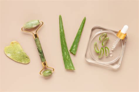 알로에 잎 주스 비취 페이스 롤러 화장품 컨셉 천연 에코 유기농 화장품 위쪽 보기 메이크업 화장품에 대한 스톡 사진 및 기타 이미지 메이크업 화장품 알로에베라 제이드