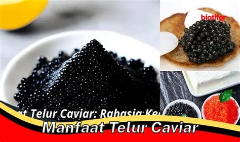 5 Manfaat Telur Caviar Yang Jarang Diketahui Biotifor