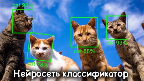 Нейросеть на Python для чайников своими руками с шаблоном Youtube