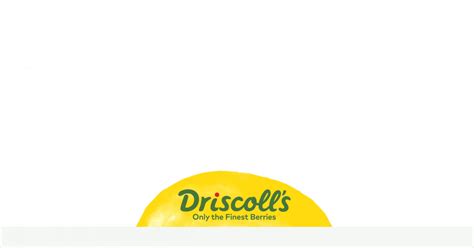 Driscrolls Case Background Essencius