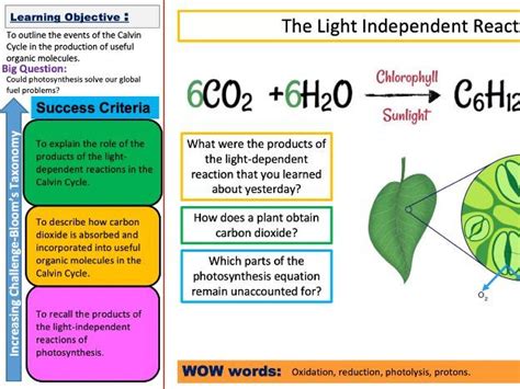 The Light Independent Reaction Oxford Aqa A Level Biology Teaching