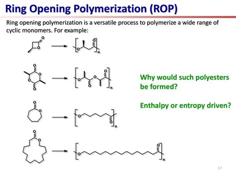 Polyolefins Catalysis And Dedicated Analysis Ppt Download
