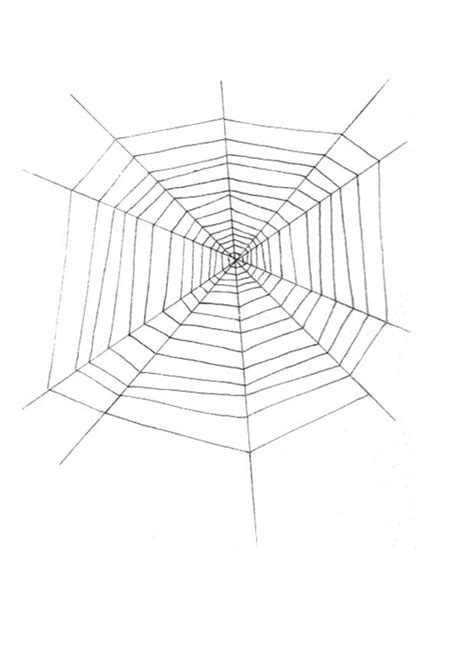 Coloring Page Cobweb Free Printable Coloring Pages Img 18991