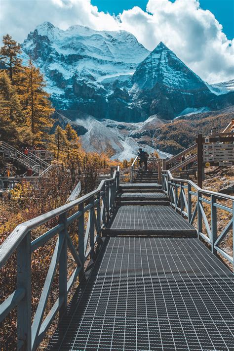 秋天的五彩缤纷的森林和雪山在伊丁自然保护图片 包图网企业站