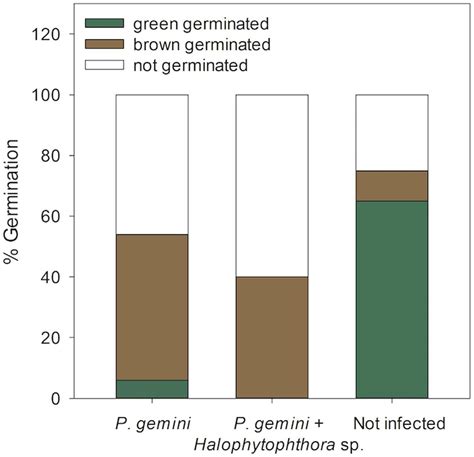 Germination Percentages Of P Gemini P Gemini Halophytophthora Sp