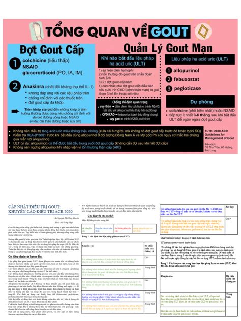 Acr 2020 Gout Pdf