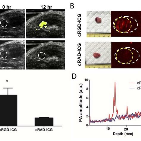 Location Of Prostate Biopsy Schemes A Right Base Lateral B Right