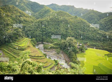 Panorama View Over The Rice Terraces Of Banaue In The Philippines