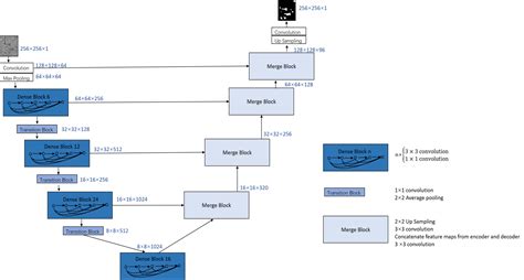 Github Jinglin0 Pyramidal Cells Segmentation Analyse Pyramidal Cells In Brain Tissues Using Cnn