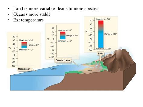 Ppt Marine Biology Powerpoint Presentation Free Download Id1093617