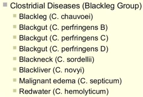 Clostridia Flashcards | Quizlet