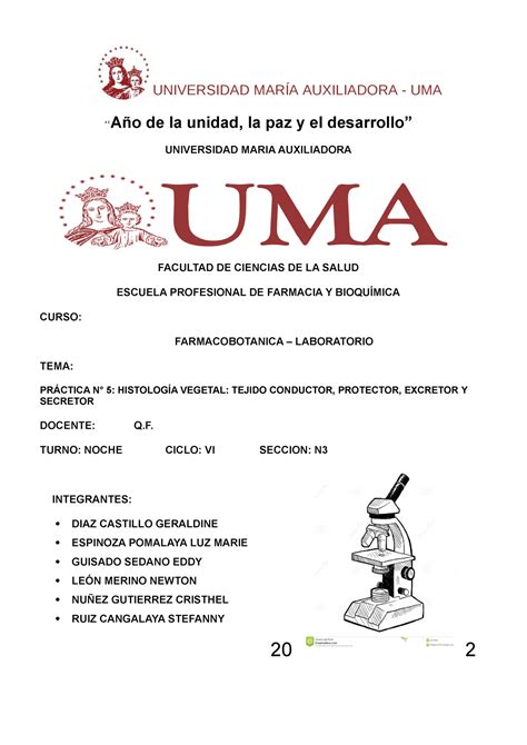 Informe De Laboratorio De Farmacobotanica ‘‘año De La Unidad La Paz