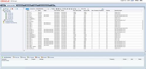 oracle virtual machine ovm