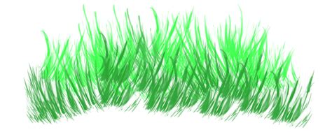 Decorative Grass Illustration 24995815 Png
